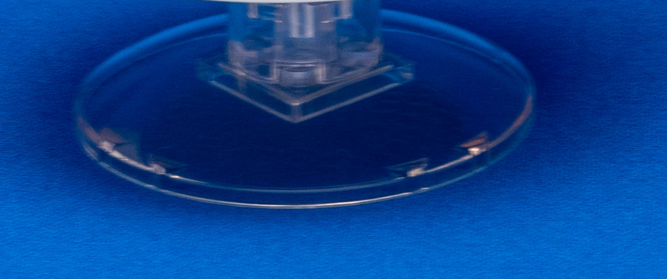 Remove colour background from transparent object? - Adobe Community ...