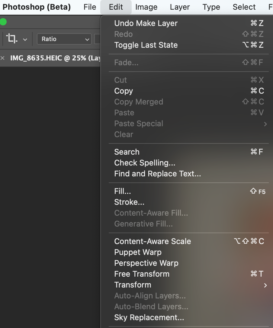 Generative Fill not showing up - Adobe Community - 14327596