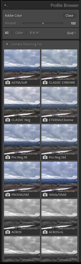 Solved: Camera Matching profile option missing - Adobe Product ...