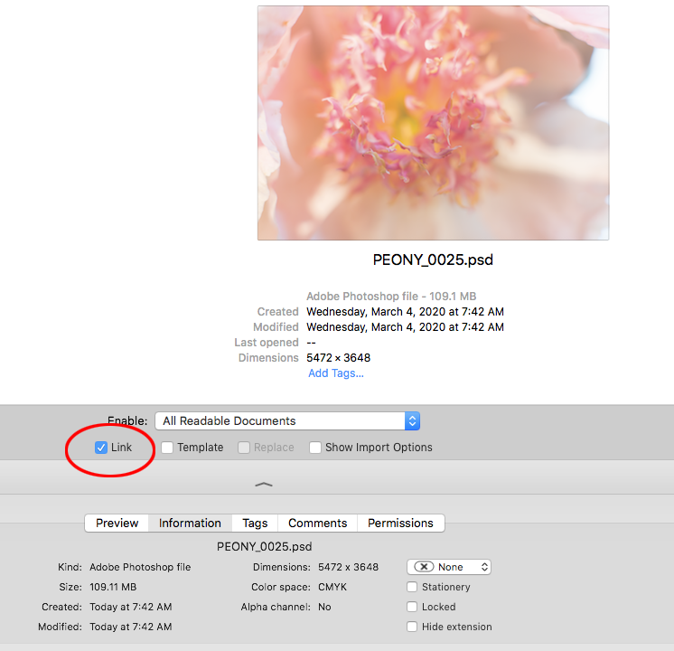 AI files will not import into InDesign - Adobe Product Community - 10961455