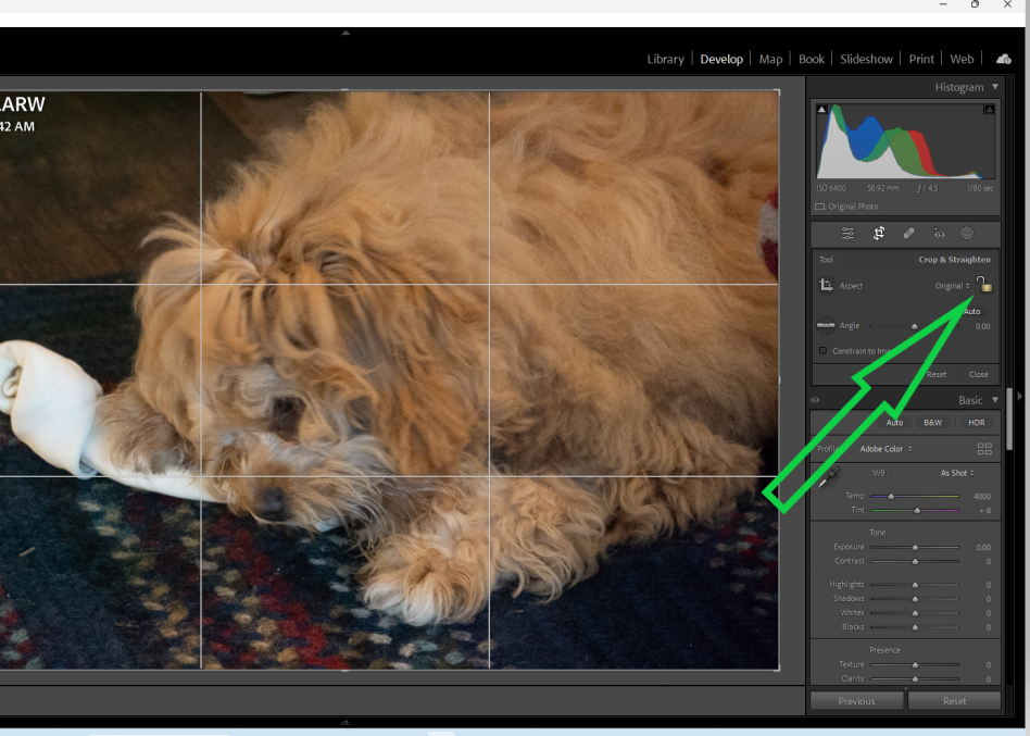 Recadrer verticalement sur une photo horizontal su... - Adobe Product ...