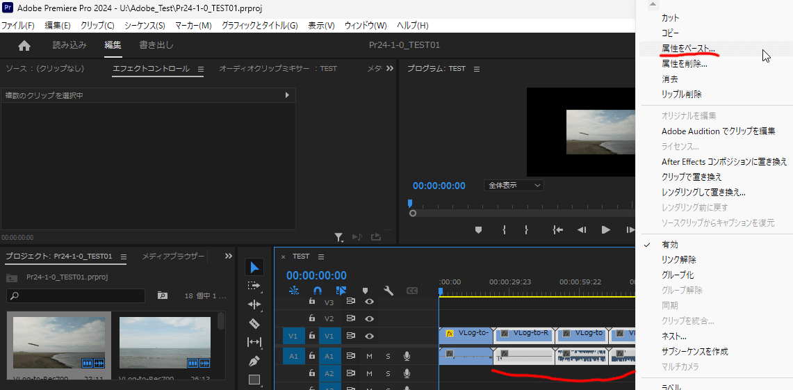 Re: シーケンス複数選択してスケールを変えられない - Adobe Community - 14354261