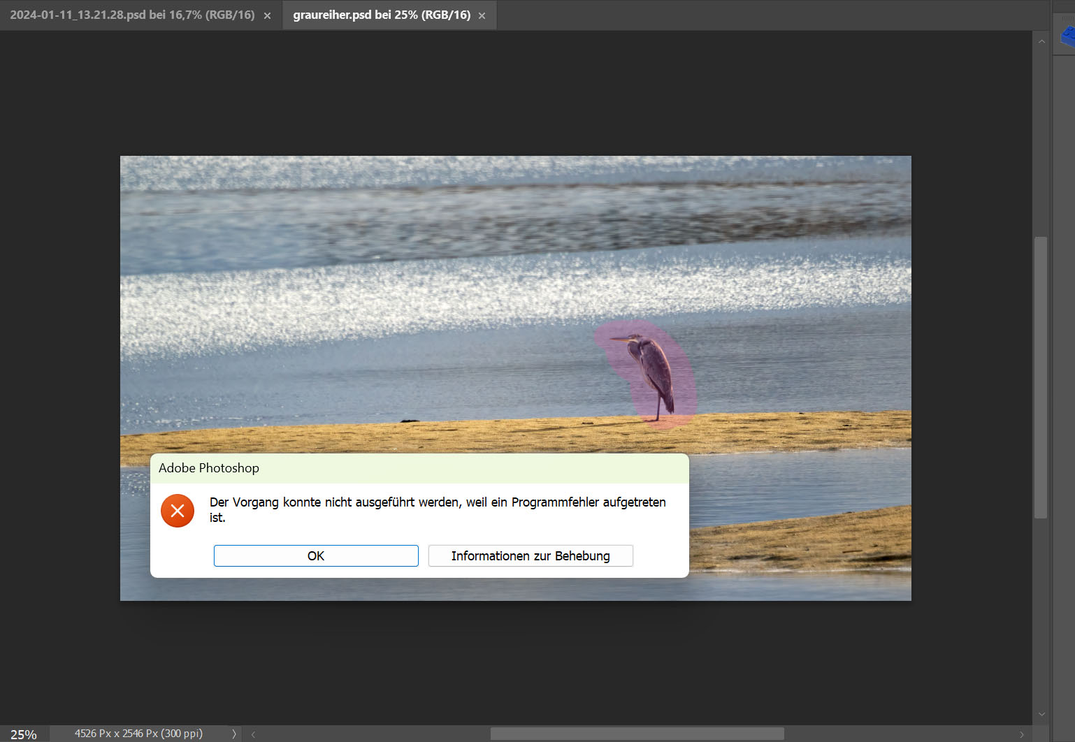 Error Remove-Tool - Adobe Community - 14356305