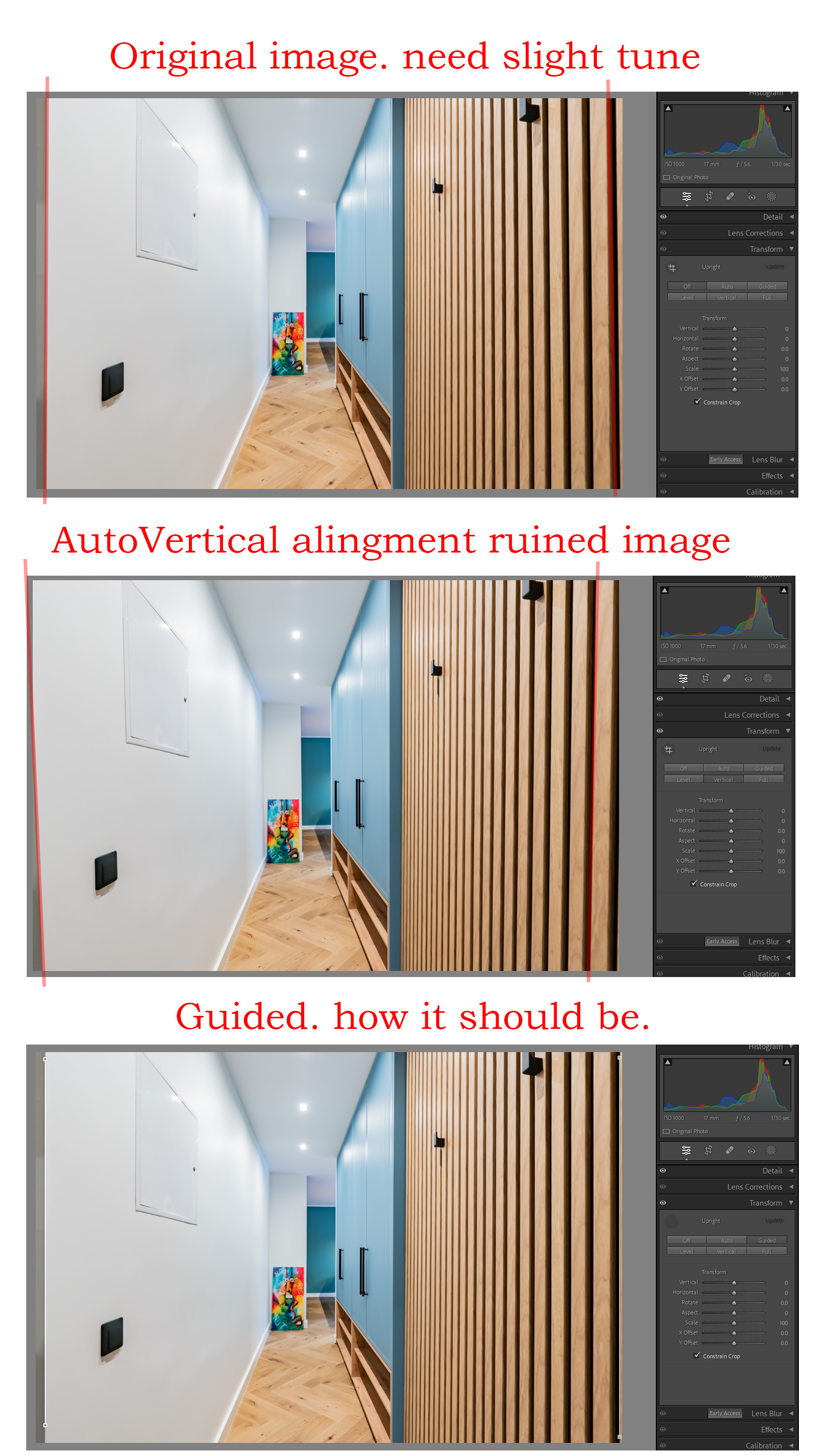P: Alignment tool in Lightroom Classic need to be ... - Adobe Community ...