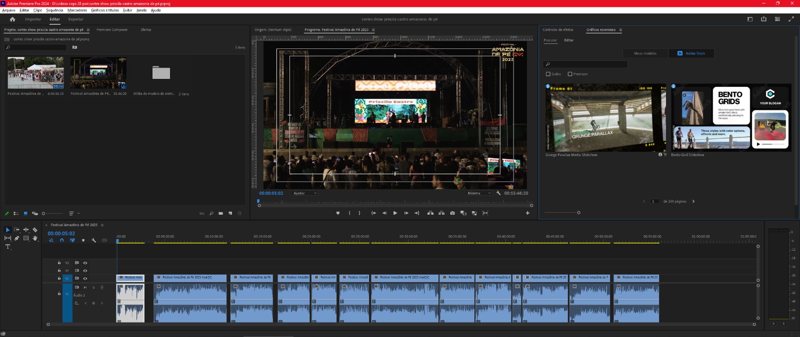 a pré visualização dos graficos essenciais parou d... - Adobe Community ...