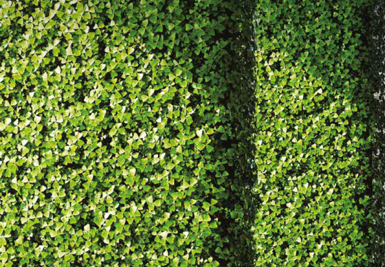 Solved: Open IDML file in InDesign - Adobe Community - 14360712