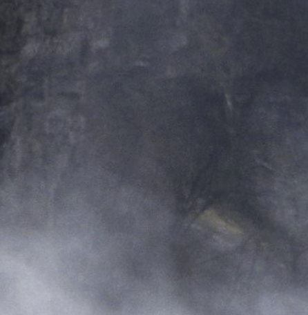 Solved: Rejected Image - Adobe Community - 14368298