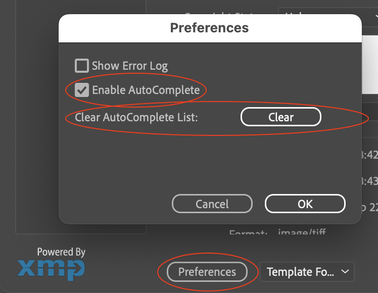 P: Why was auto-complete in File Info removed from... - Adobe Product ...