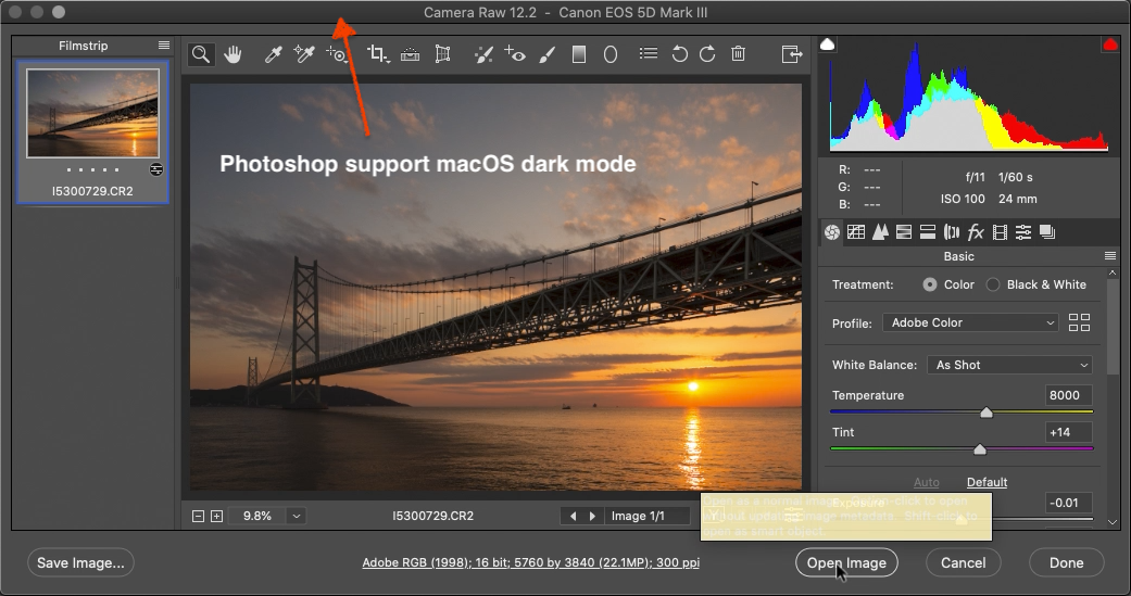 Solved: Cannot read tool tips in Photoshop Camera Raw Filt... - Adobe ...