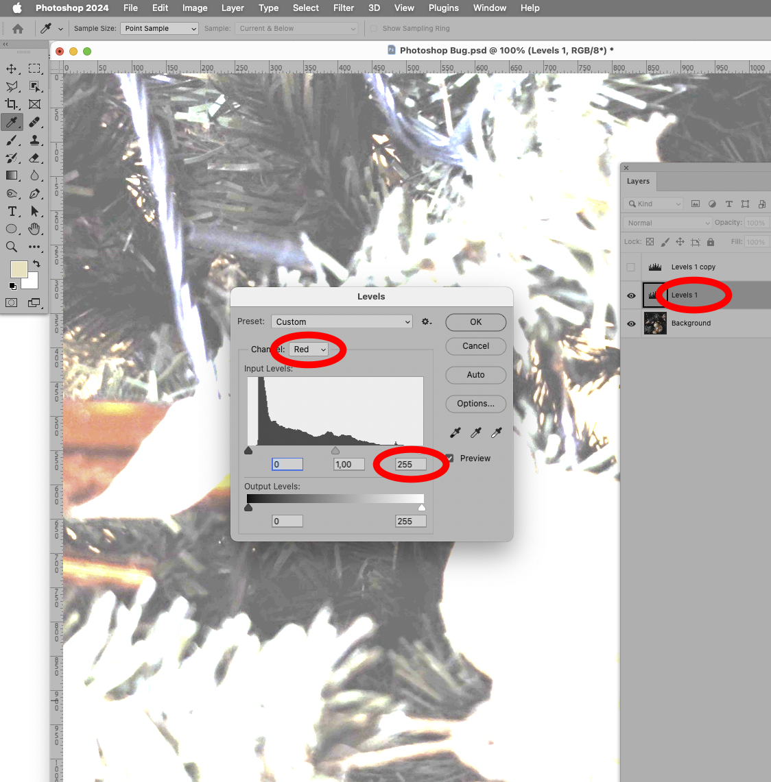 Levels Adjustment layer now updating for new under... - Adobe Product ...