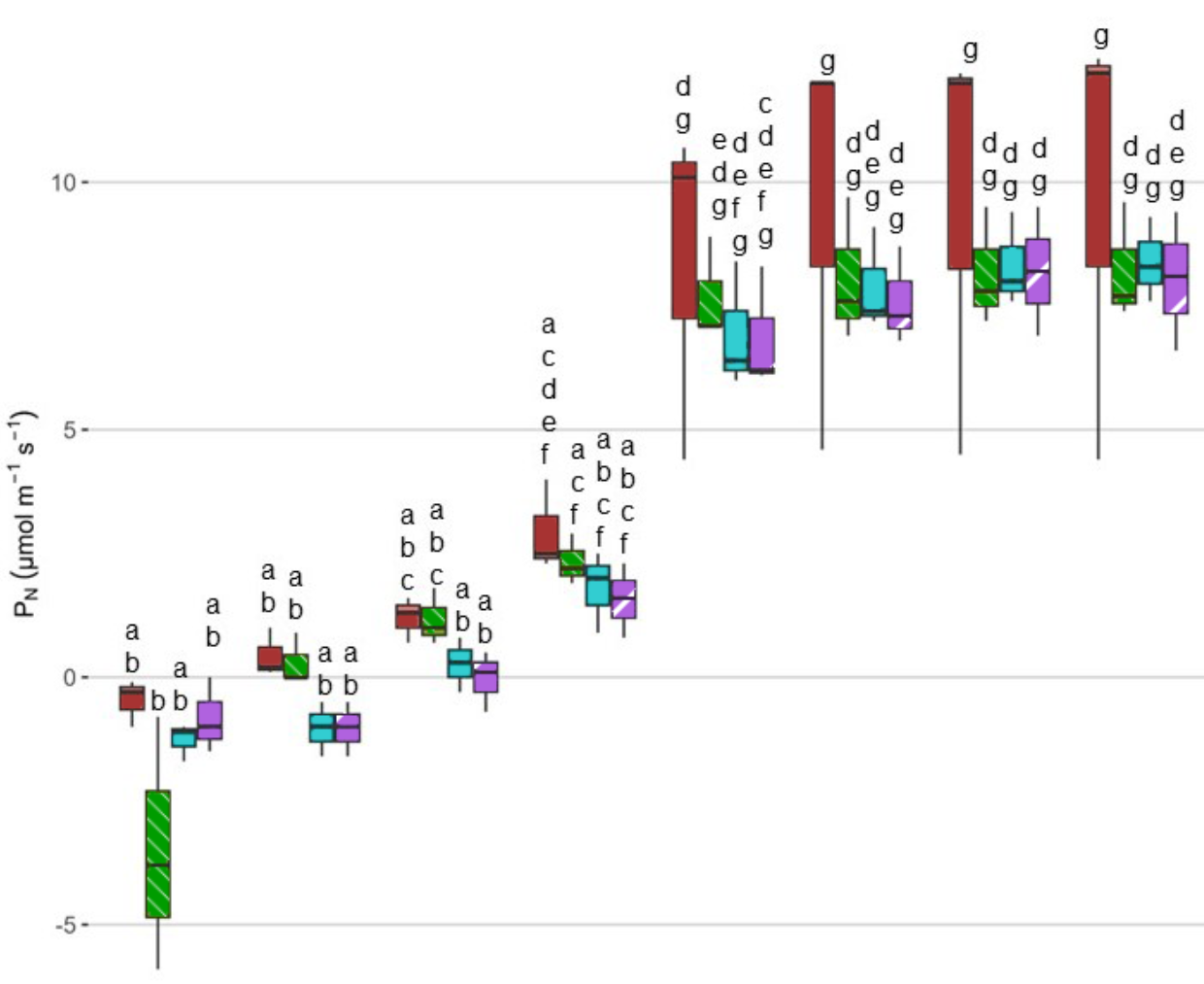 scaling patterns is breaking image in photoshop - Adobe Product ...