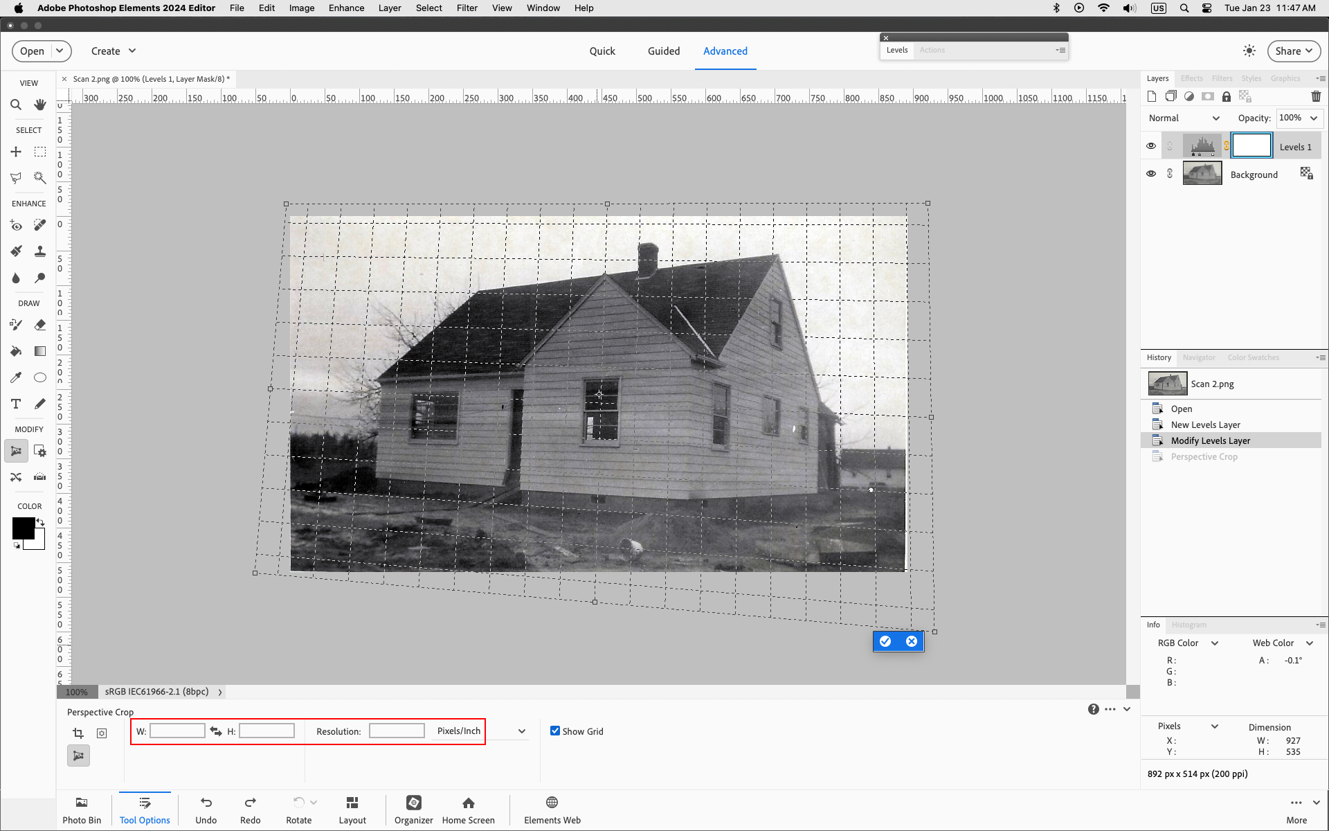 Perspective Crop - Image disappears - Adobe Community - 14374606