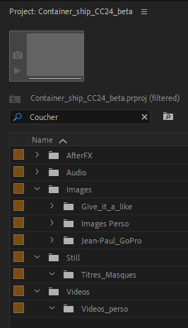 Filter Bin Content does not work. - Adobe Community - 14381760
