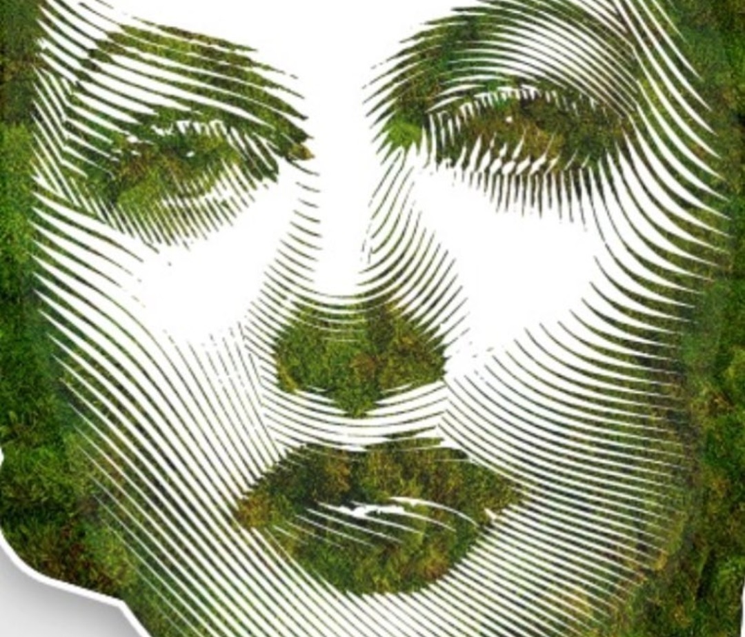 How to create thes line pictures? - Adobe Product Community - 14384783