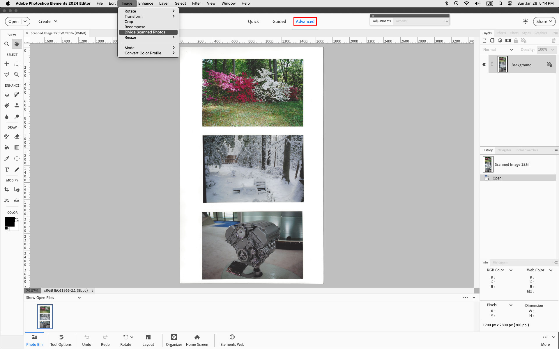 Divide scanned photos in PS Elements 2024 - Adobe Product Community ...