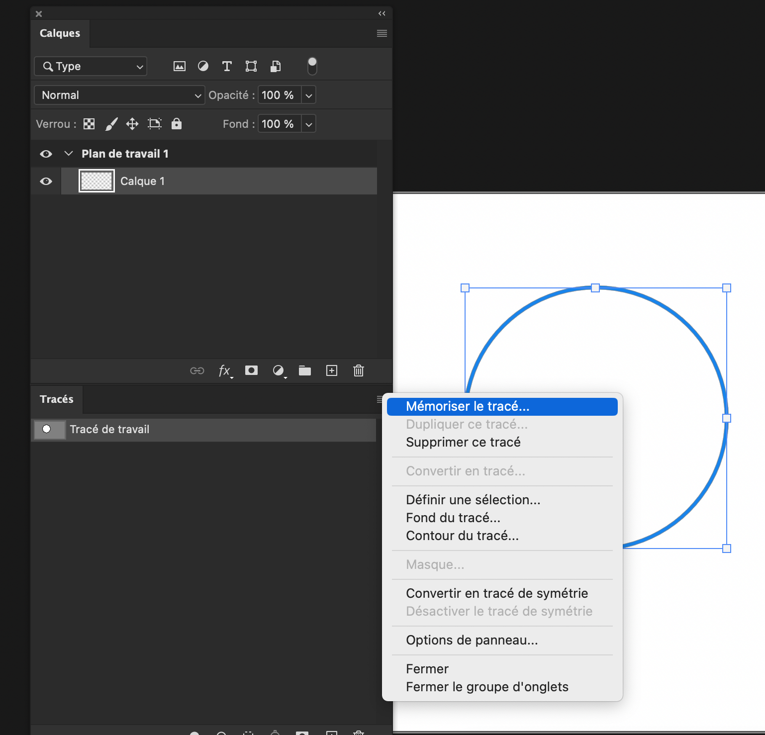 Solved Problem Understanding The Paths Panel Adobe Product Community