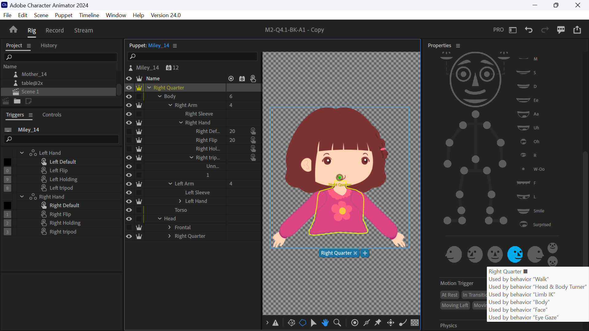 Puppet disappear when face and body tracking are o... - Adobe Community ...