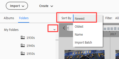 Solved: Elements Organizer 2024 thumbnails greyed out - Adobe Product ...