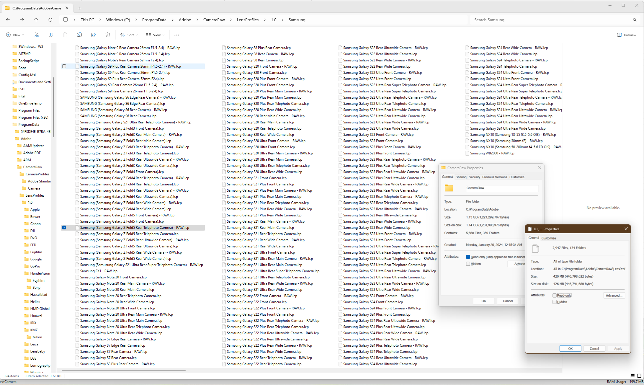 Solved Deleting Unnecessary Cameraraw Files Adobe Community 12982939 