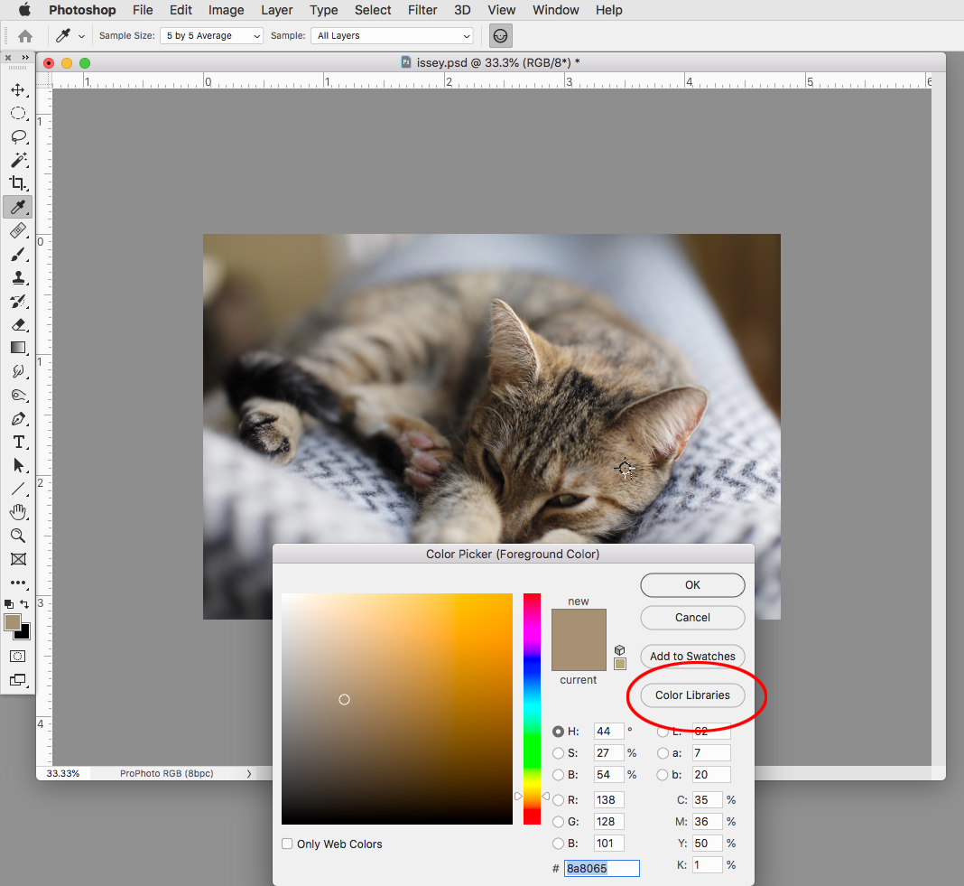 Solved: when (in InDesign) you select a colour theme, how ... - Adobe ...