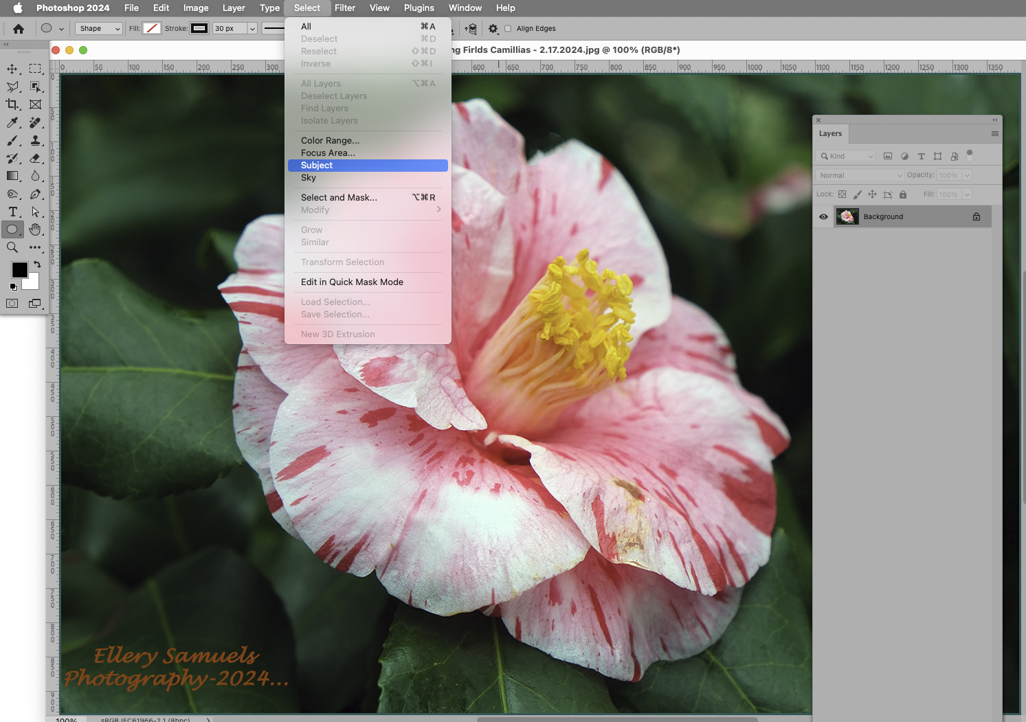 Replacing a Background - Adobe Product Community - 14435920