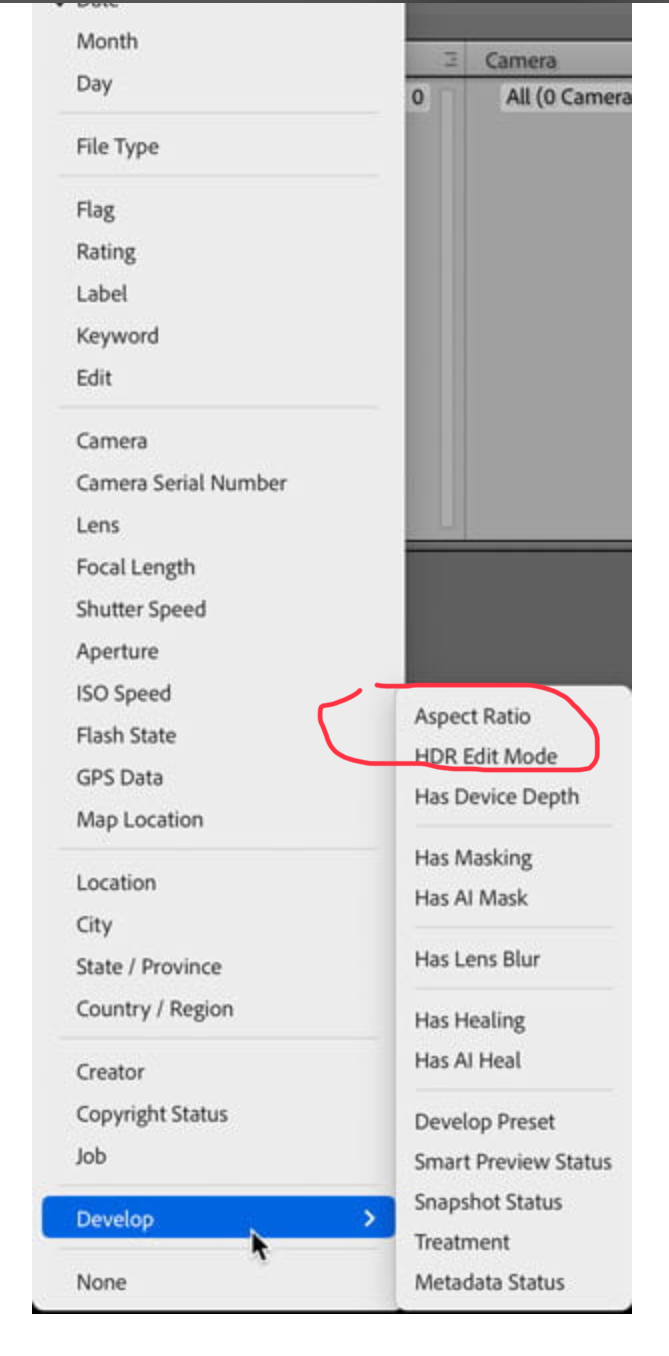 Solved: Lightroom filter "ASPECT RATIO" in metadata is gon... - Adobe Product Community - 14447251