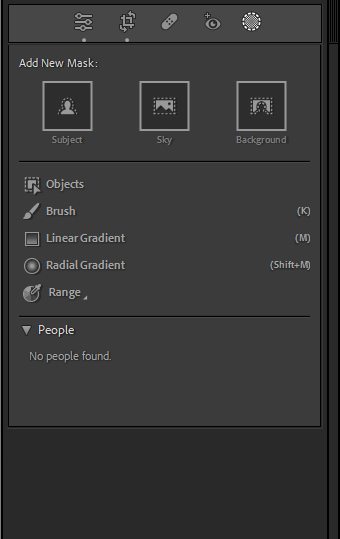 basic adjustment panel within masks - Adobe Product Community - 14450853