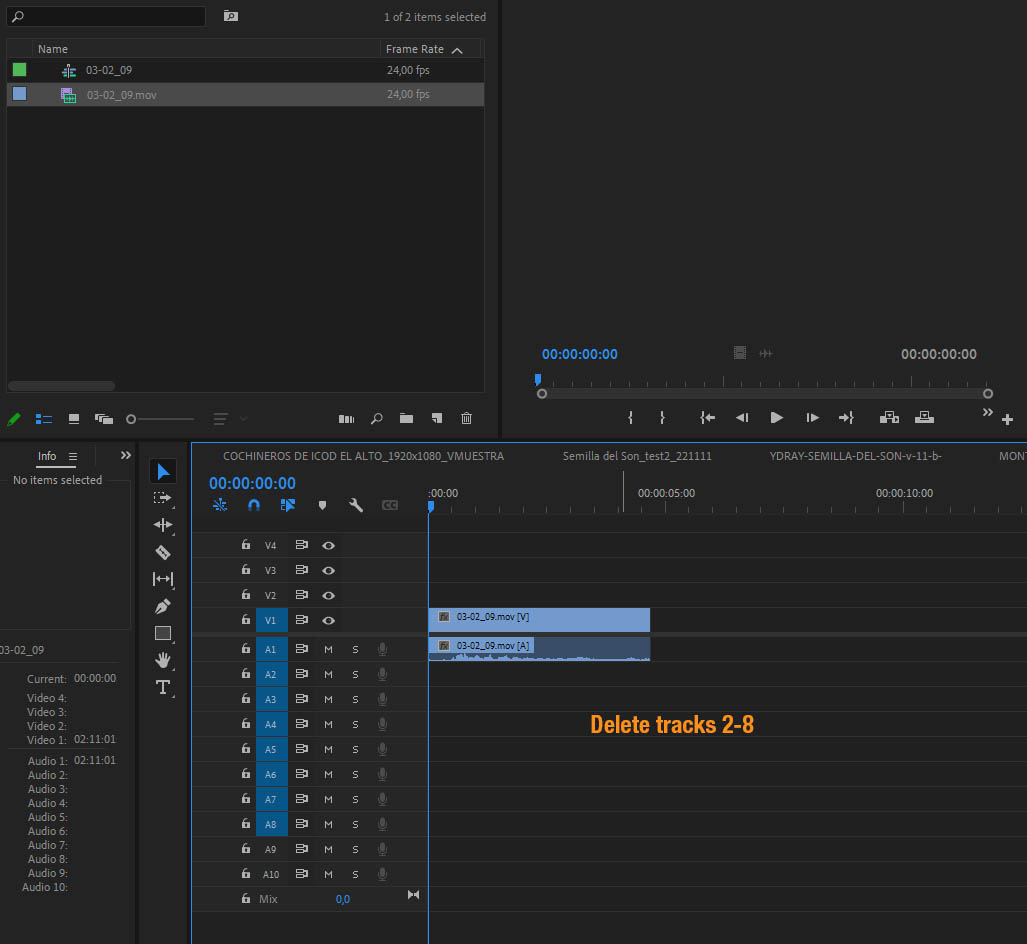 How to copy audio tracks from the source window to... - Adobe Product ...