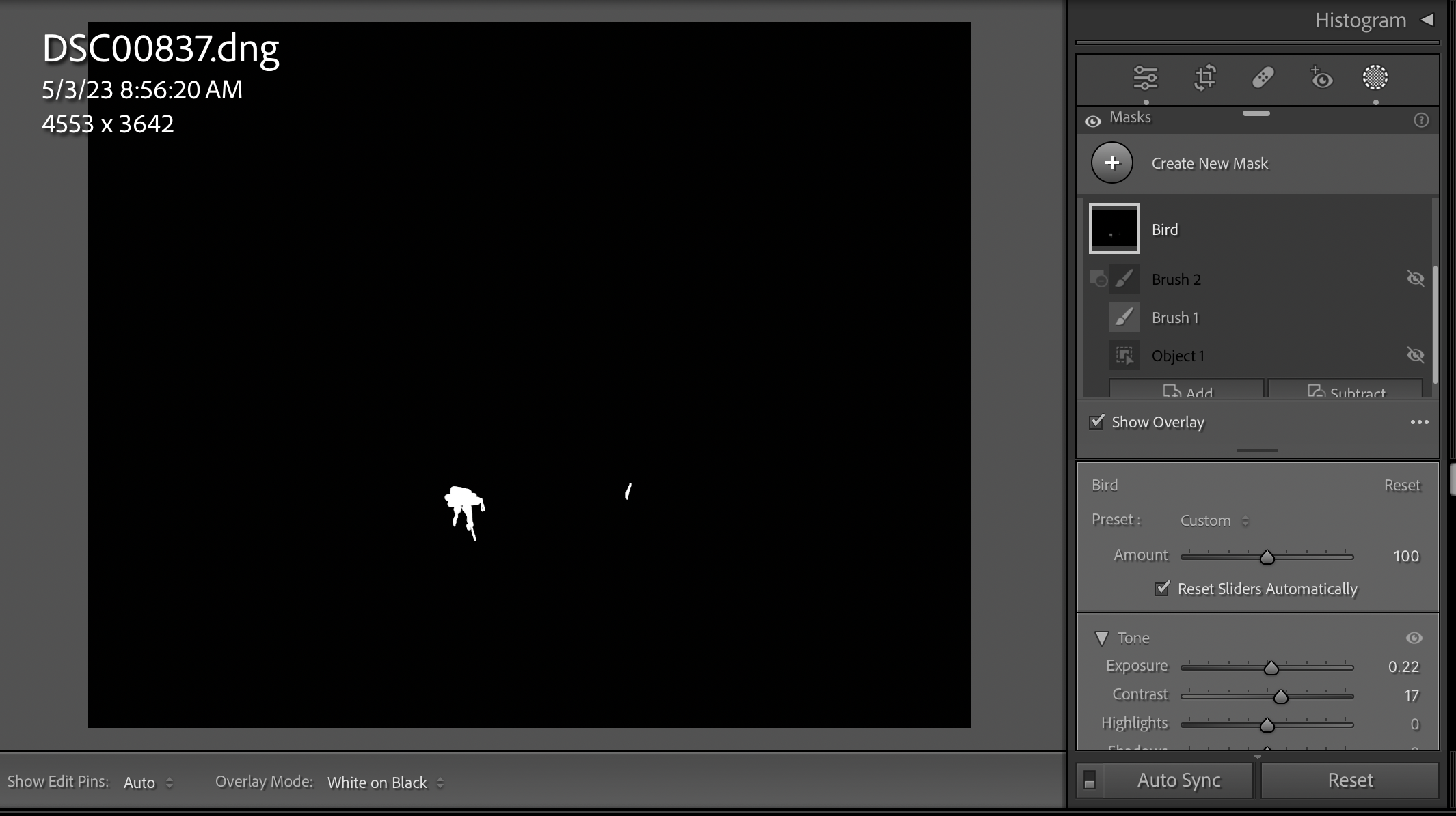 Solved: Develop settings not copying properly - Adobe Product Community ...