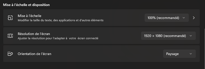 The mouse cursor becomes large in Adobe InDesign. - Adobe Product ...