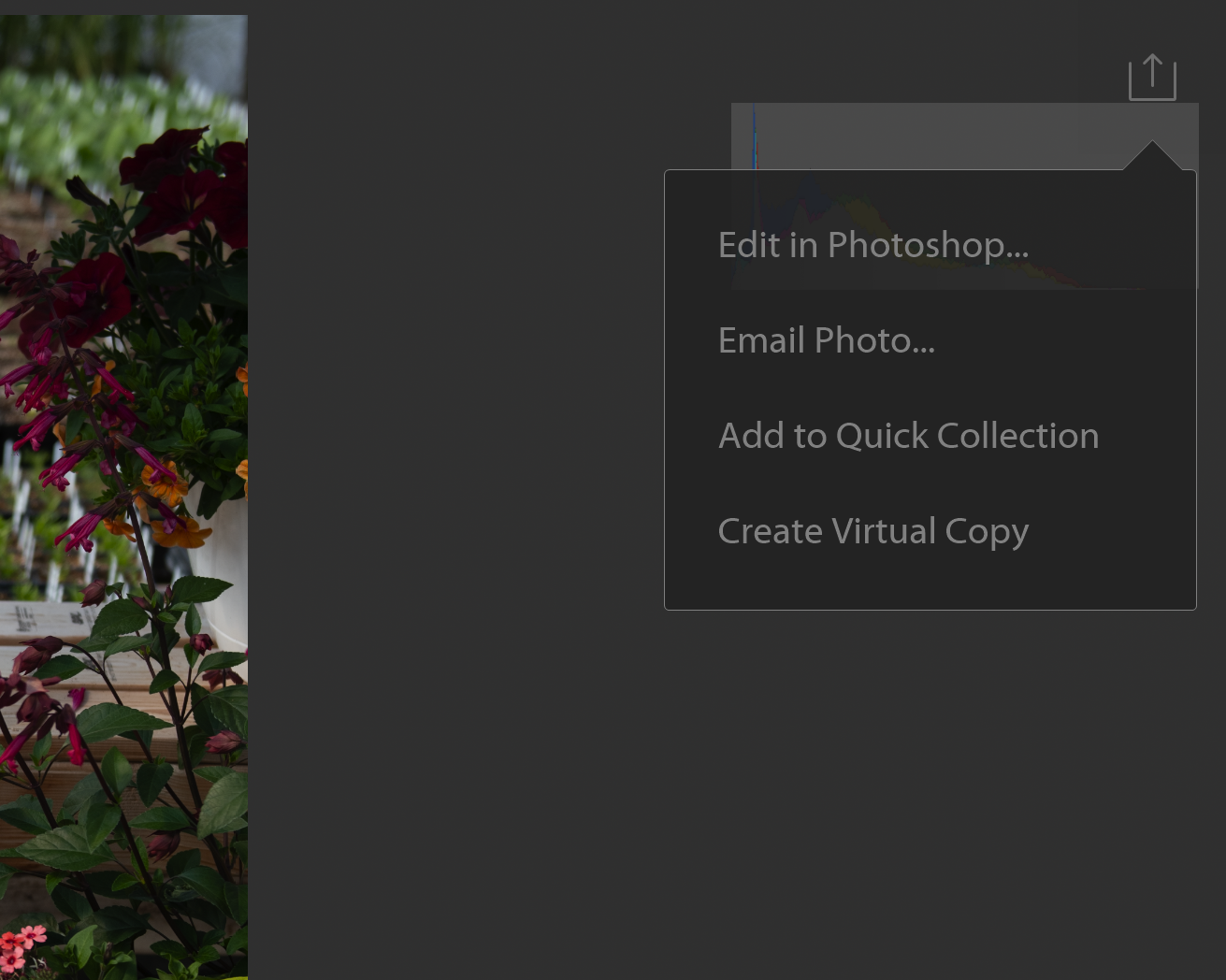 Shortcut Toolbar in Upper Left Corner - Adobe Product Community - 10965816