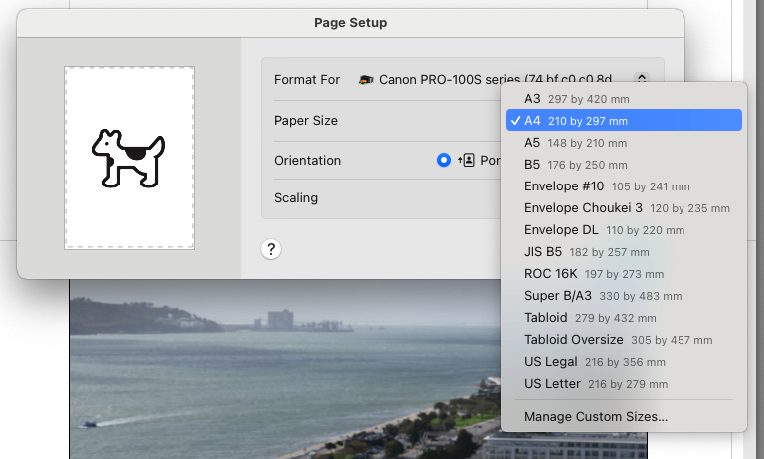 P: Print module list of page sizes doesn't update - Adobe Product ...