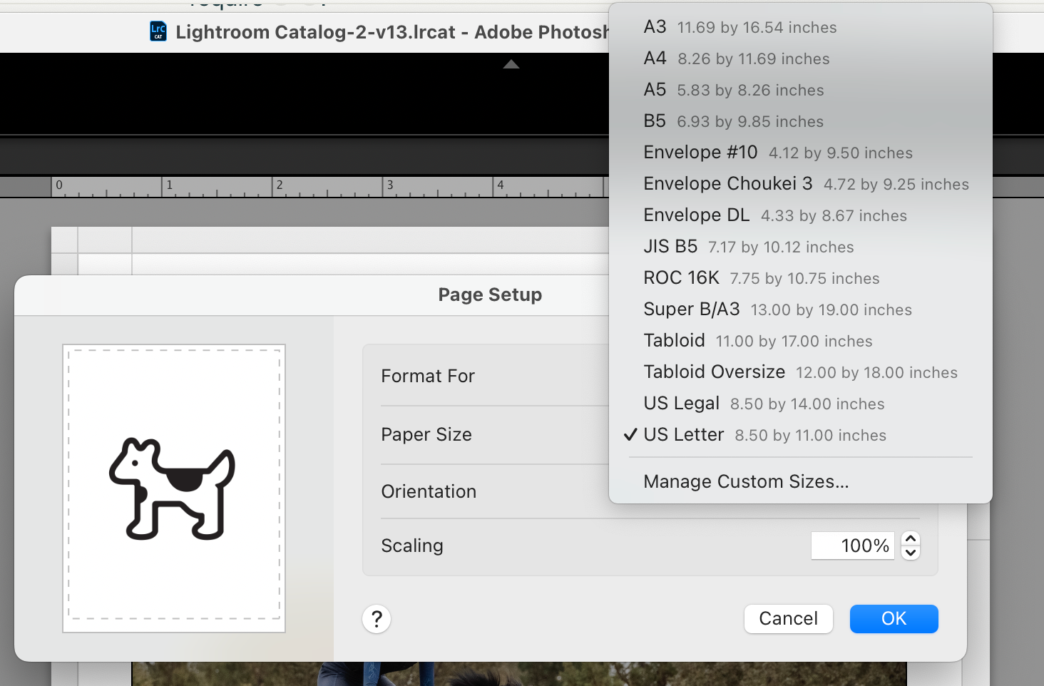 P: Print module list of page sizes doesn't update - Adobe Product ...