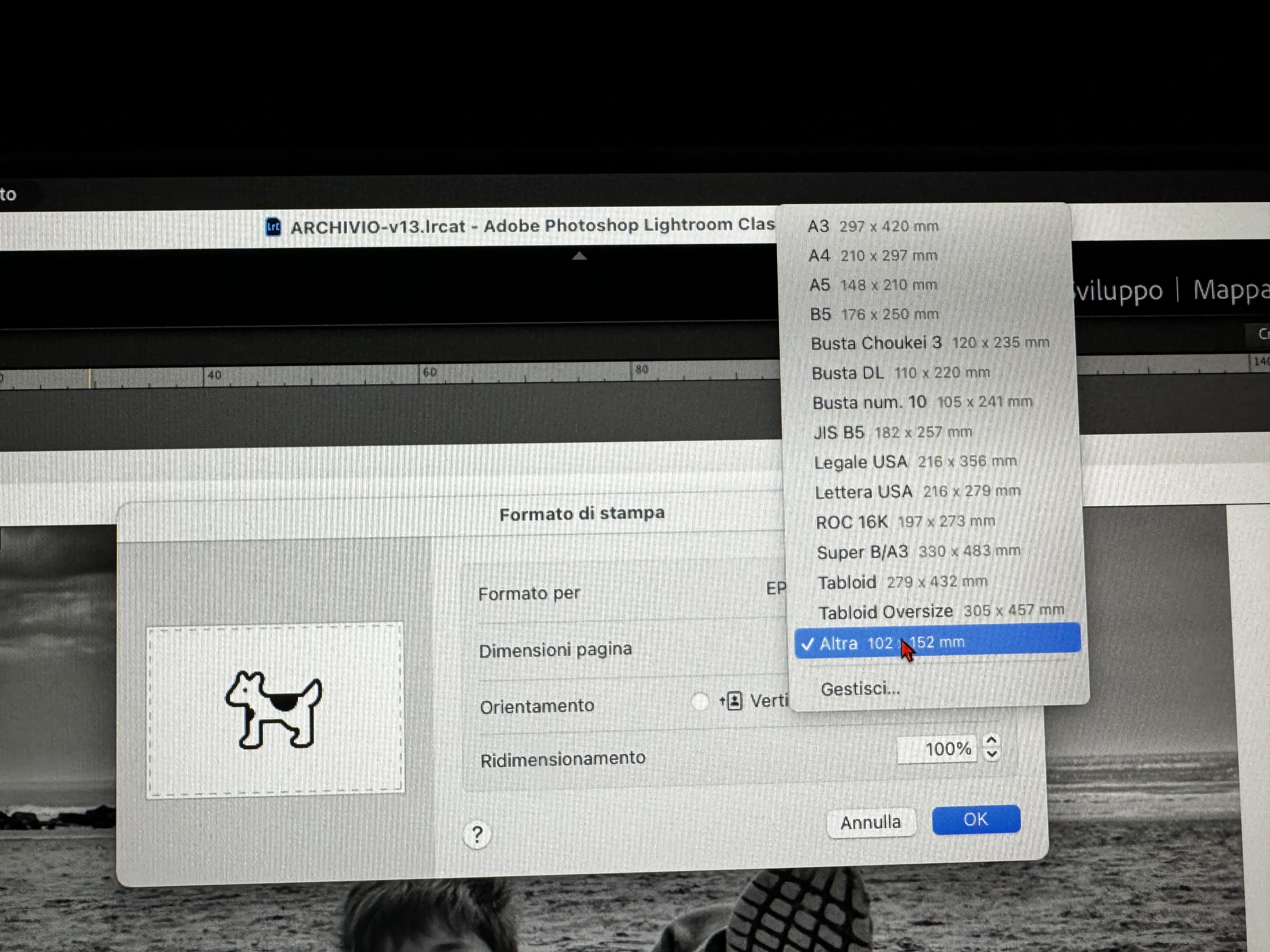 P: Print module list of page sizes doesn't update - Adobe Product ...