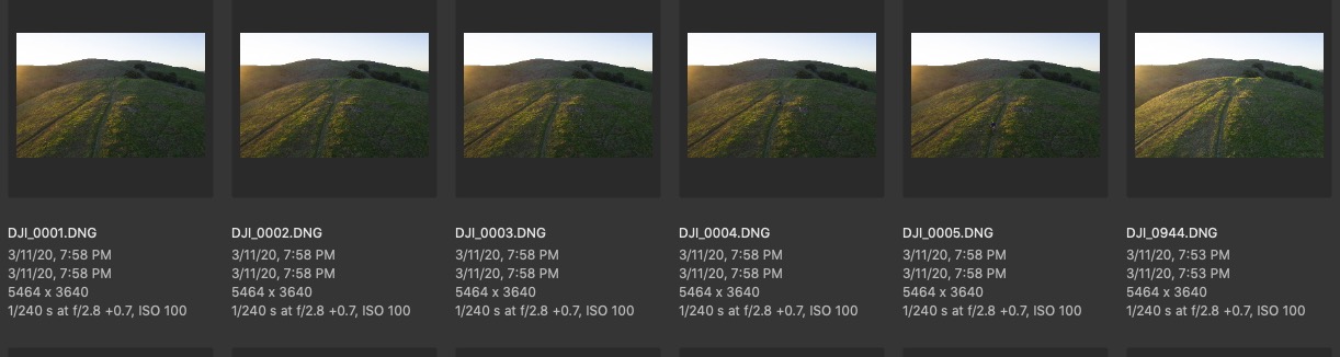 Bridge/Camera Raw Previews Mismatch - Adobe Product Community - 10975937