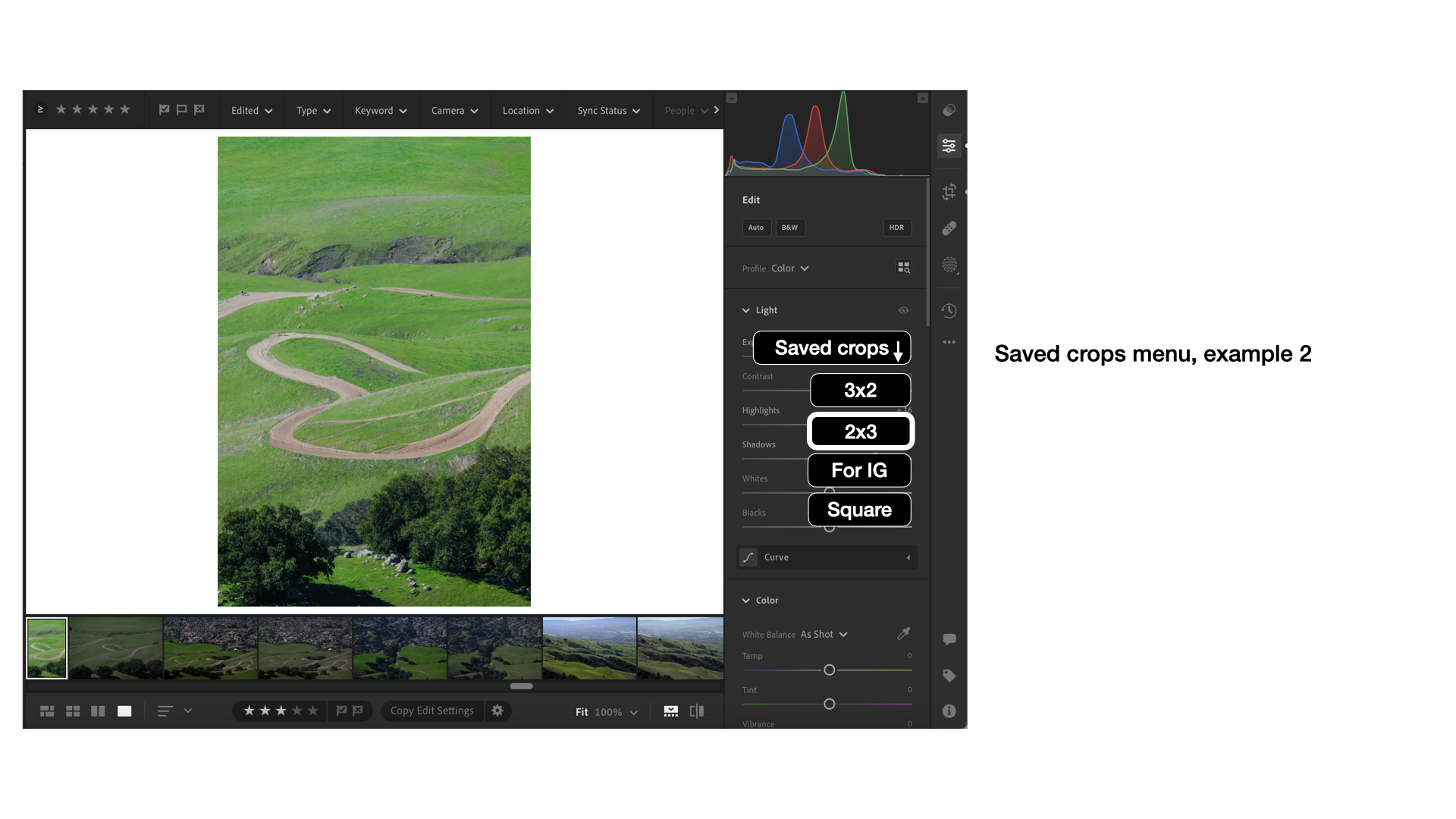 P: Saving different crop/aspect ration configurati... - Adobe Community ...