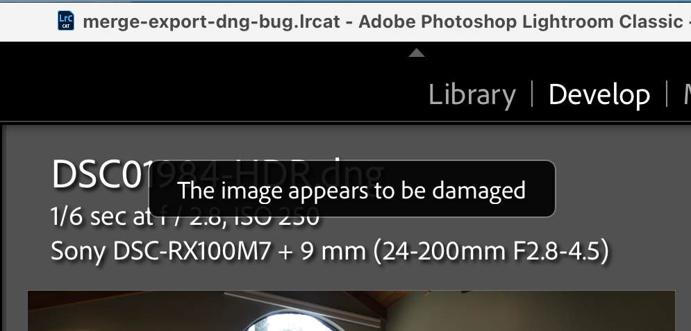 P: Exporting DNG (from Merge) as a new DNG w/ Comp... - Adobe Community ...