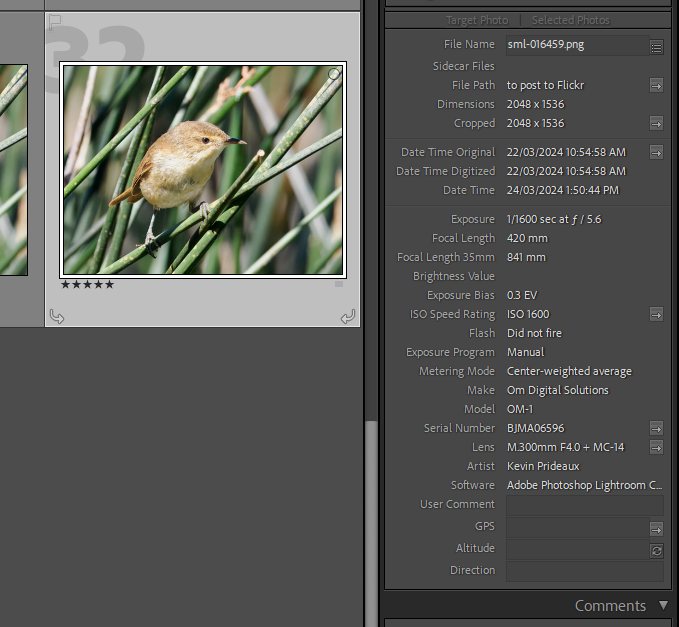 P: JPG export strips exif information even with in... - Adobe Community ...