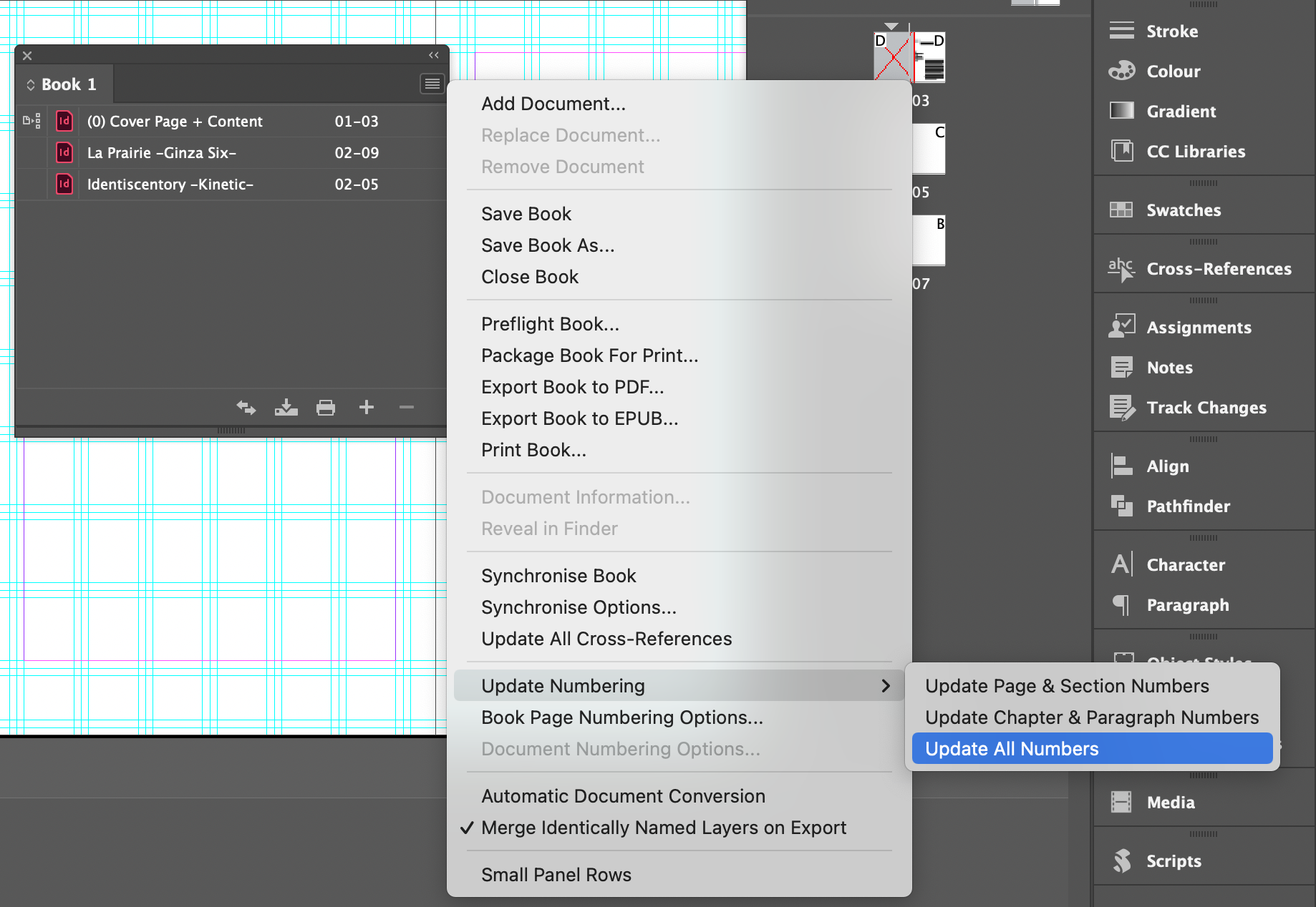 Solved: InDesign Booklet Numbering not Updating - Adobe Product Community - 14530543