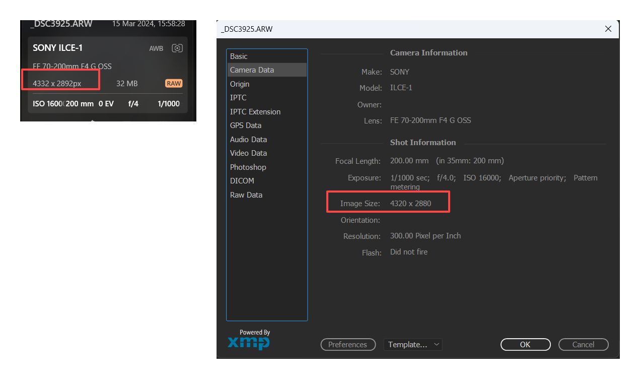 Solved: The PSE image is slightly cropped compared to Lumi... - Adobe ...