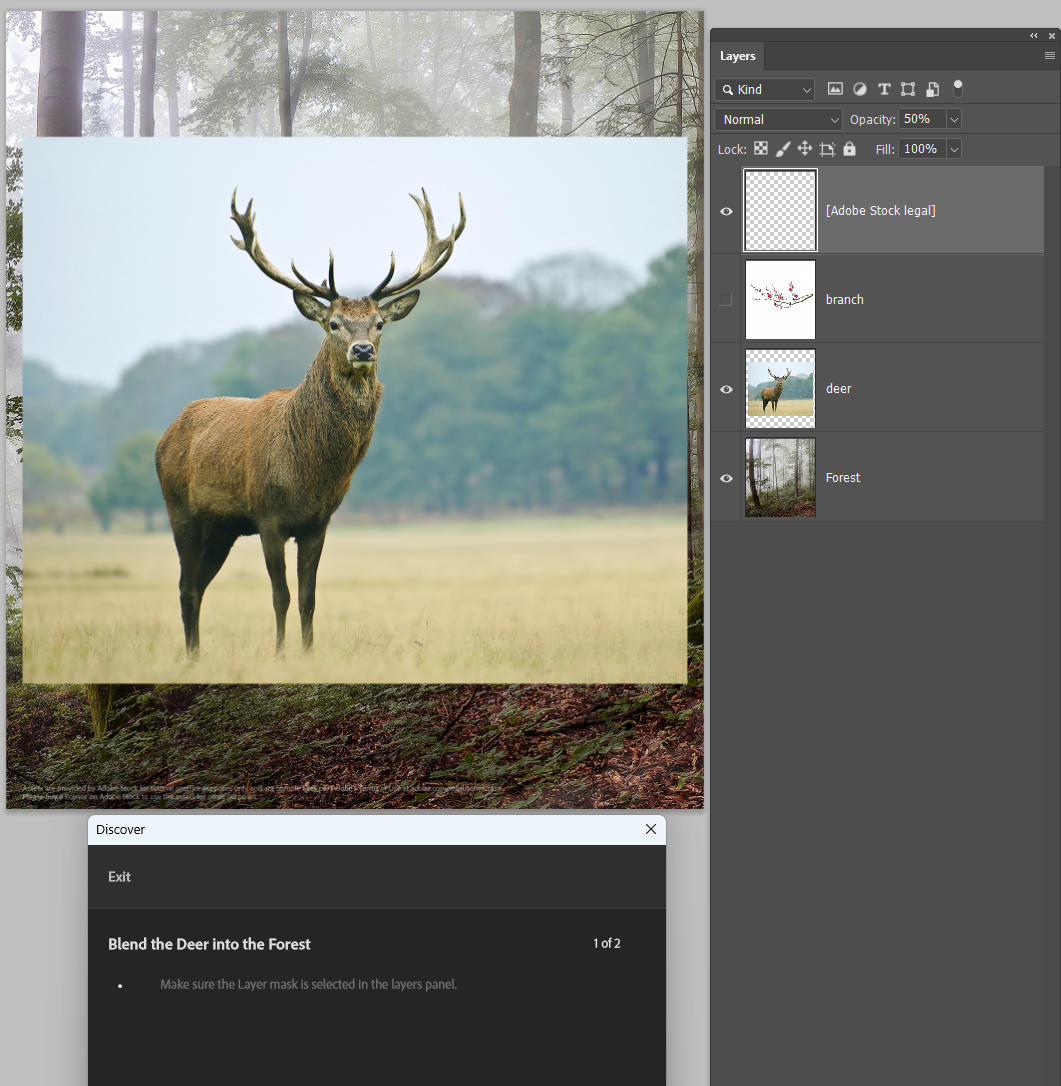 Problem with Photoshop Tutorials - Adobe Product Community - 14553985
