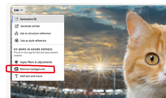 Solved: transparent png image generated - Adobe Community - 14572937