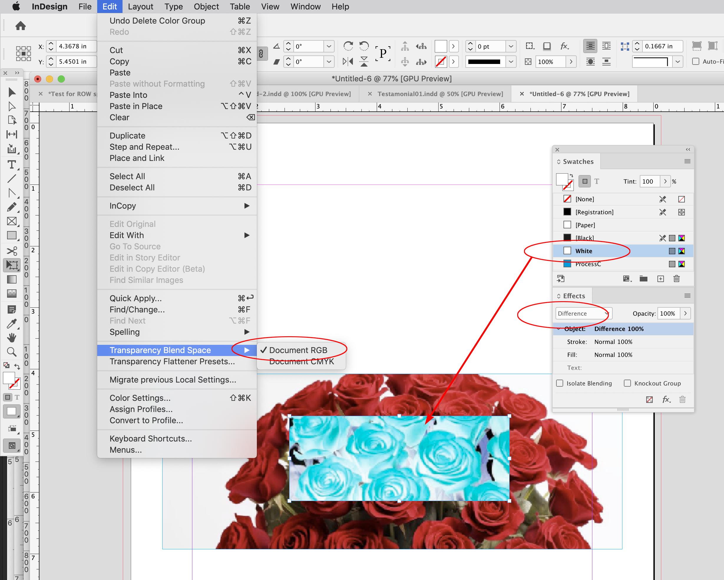 How do I invert image (negative) inside a rectangl... - Adobe Product ...