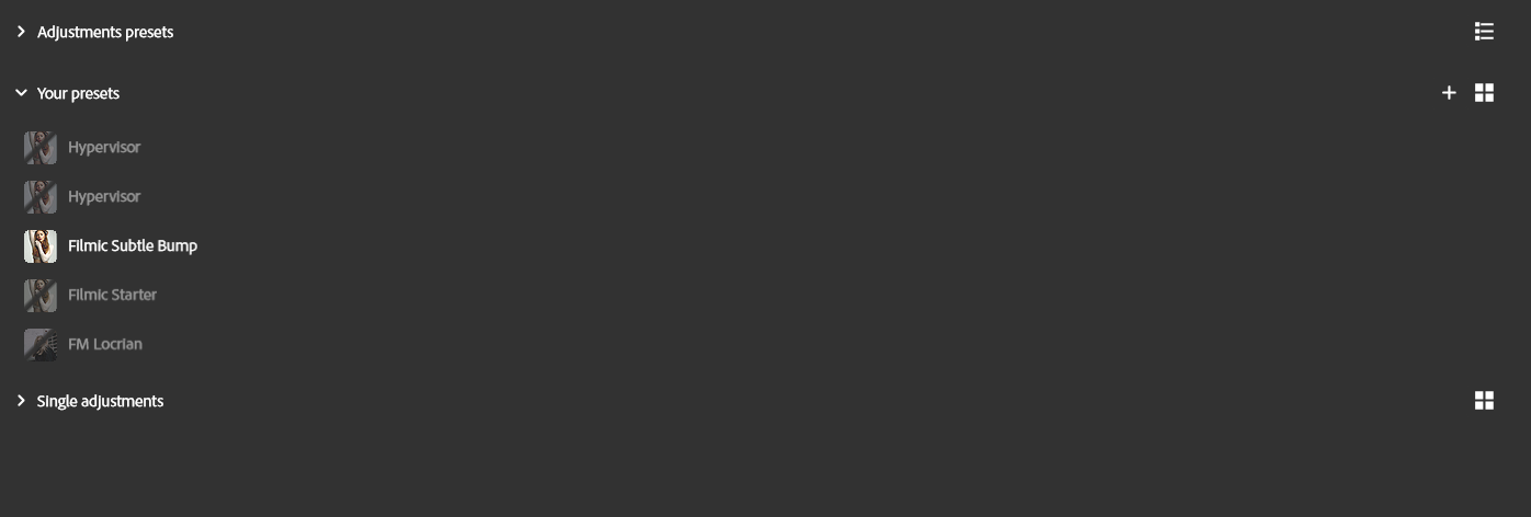 I can't delete my custom adjustment presets in Pho... - Adobe Community - 14578622