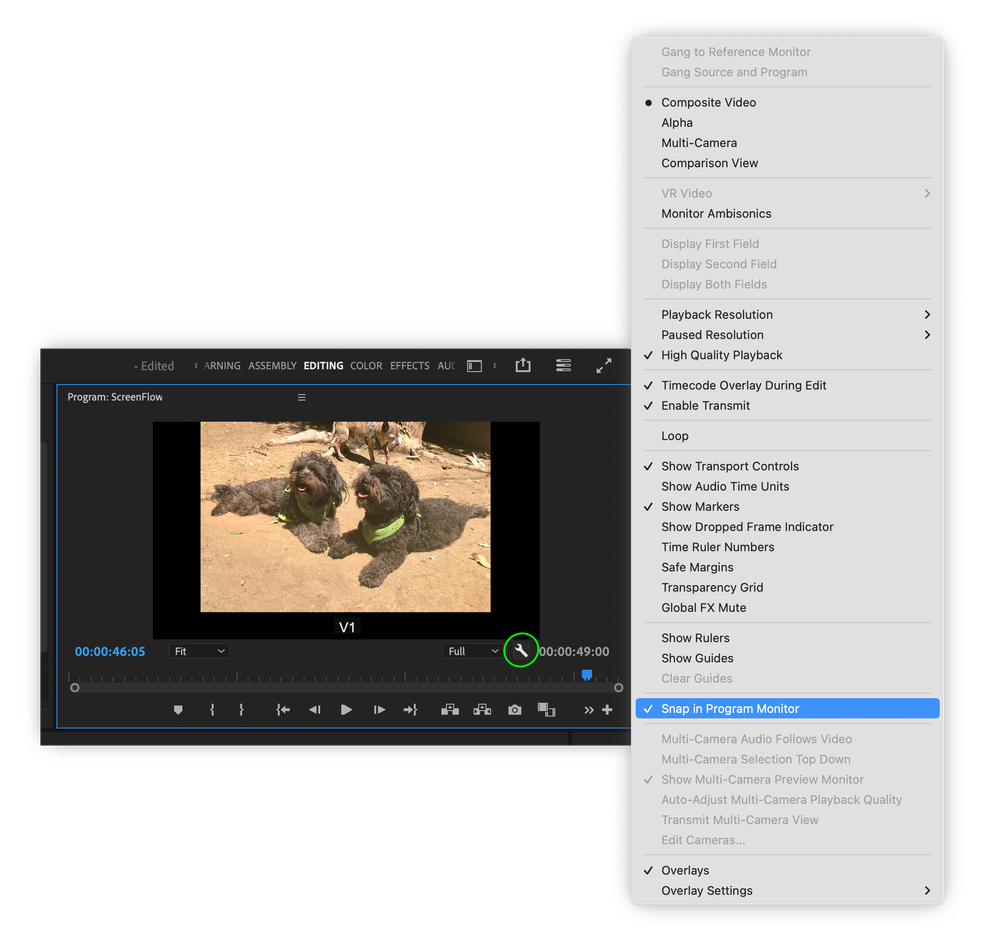 Re: how to center pictures like png jpeg etc - Adobe Product Community - 14561409