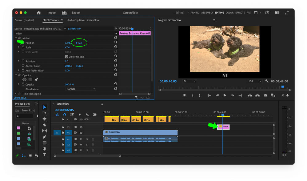Re: how to center pictures like png jpeg etc - Adobe Product Community - 14561409