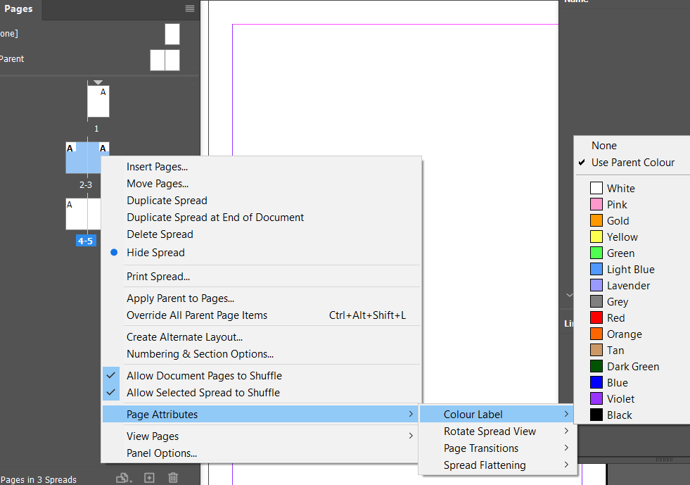 Solved: How to group the pages of the page panel by color ... - Adobe ...