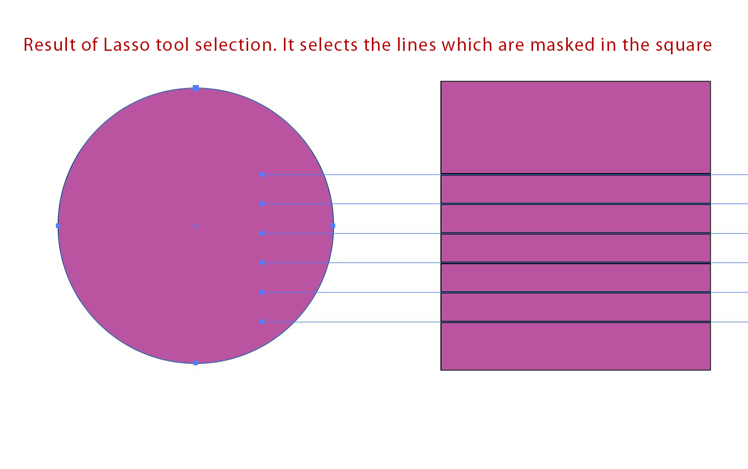 Curious issue with Lasso tool. - Adobe Product Community - 14607096