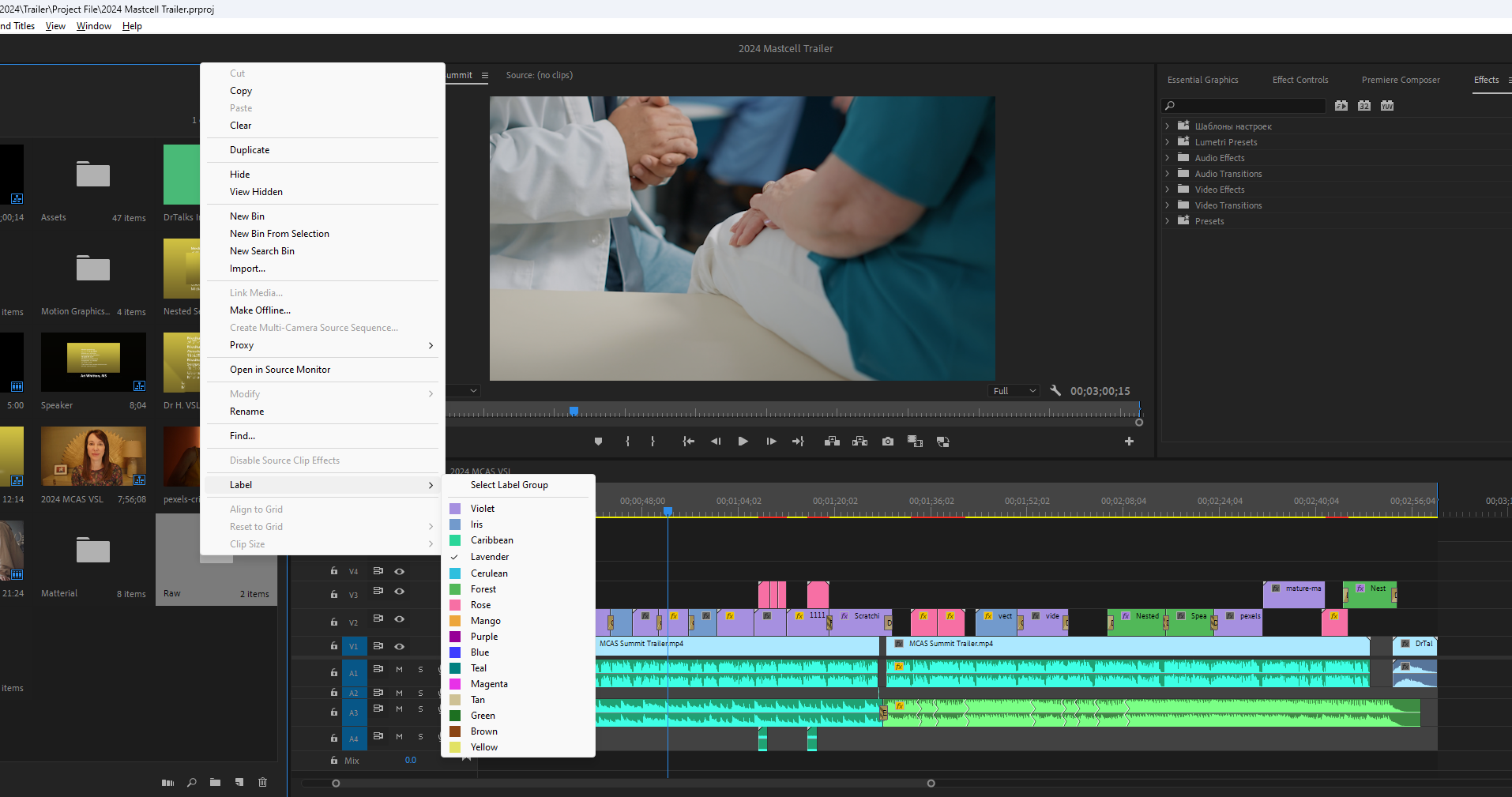Solved: P: Label colours appear to have inverted in Premie... - Page 3 ...