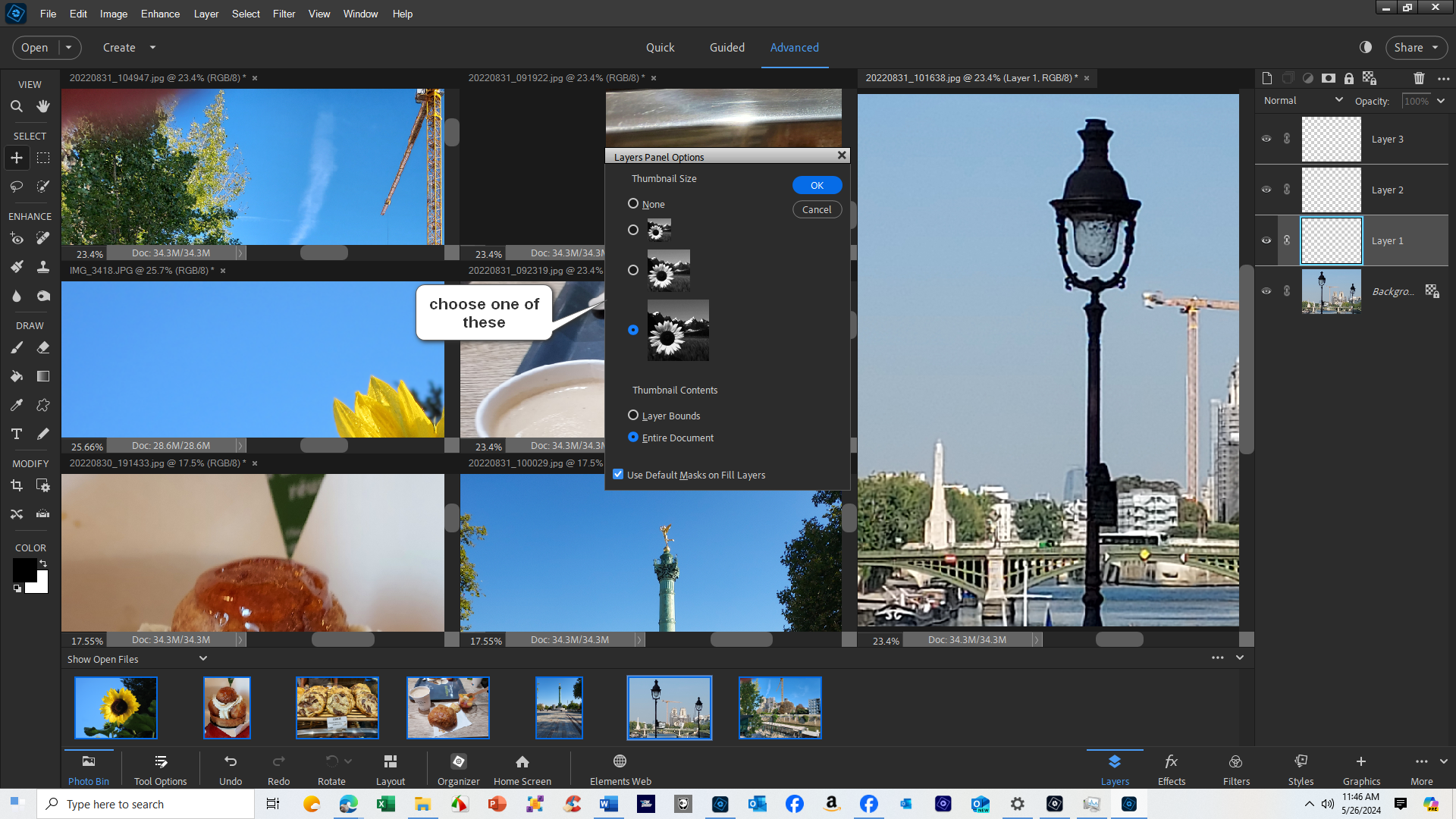 Elements 2024 Layer Panel problem - Adobe Community - 14642210